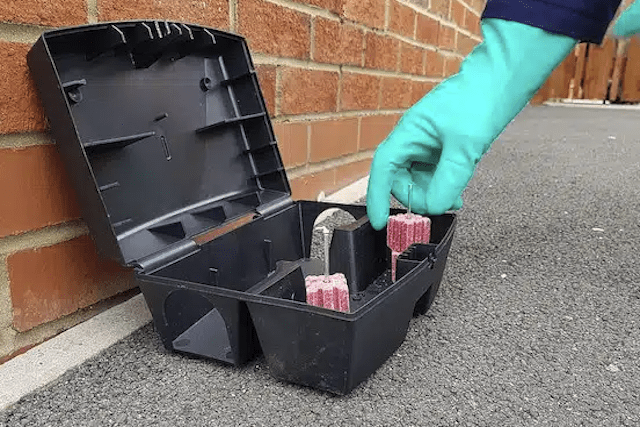 What Are Bait Stations And How Do They Work? - Pest Exterminators Herts